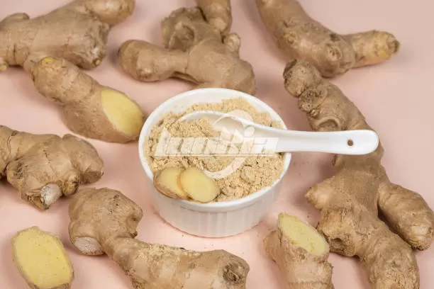 From Fresh Ginger to Powder: Step-by-Step Guide - LONKIA Machinery