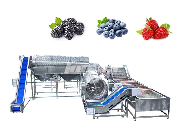 Customized Blueberry Stem Removal and Washing Line for Sale - LONKIA ...