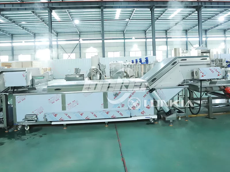 Temperature & Time Control Guide for Continuous Blanching Machine ...