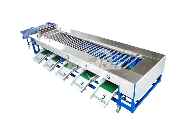 Advanced Carrot Sorting Machine - LONKIA Machinery