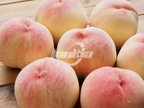 Peach Peeling Machine Benefits for Canning and Juice Production ...
