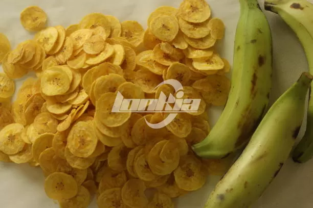 From Plantain Slices to Crispy Chips: How a Plantain Fryer Works ...