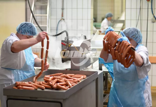 Sausage Making Machine Applications Across Different Industries ...